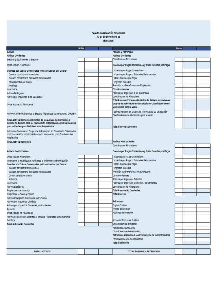 Formato SMV Esf | PDF