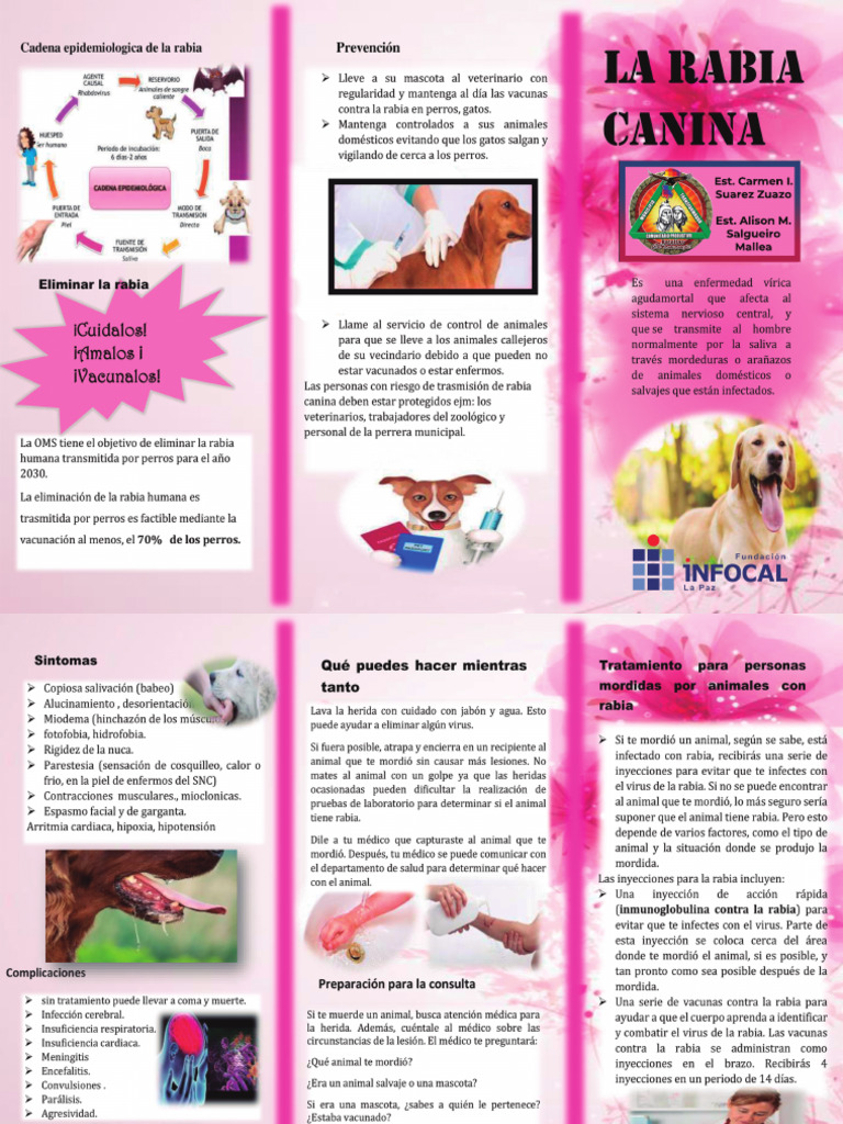 Folleto Sobre La Rabia Canina | PDF