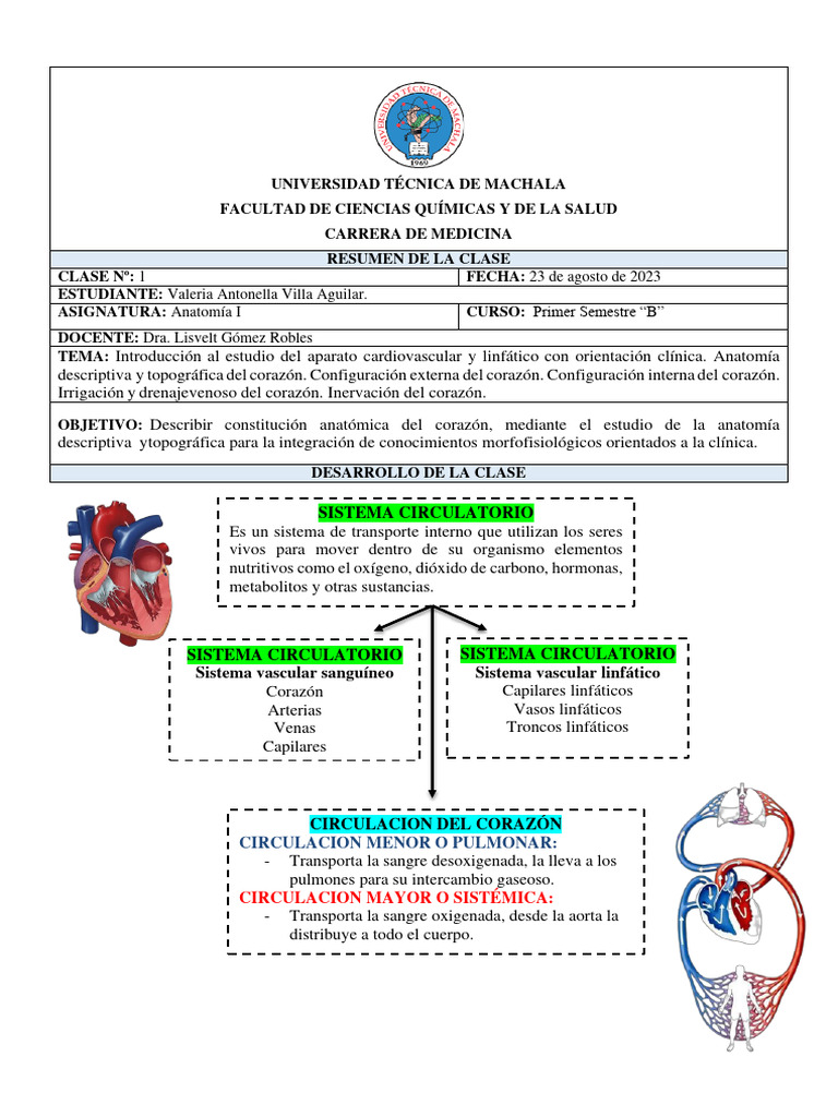 Diario 1 - 2do Hemi | PDF | Sistema circulatorio | Corazón