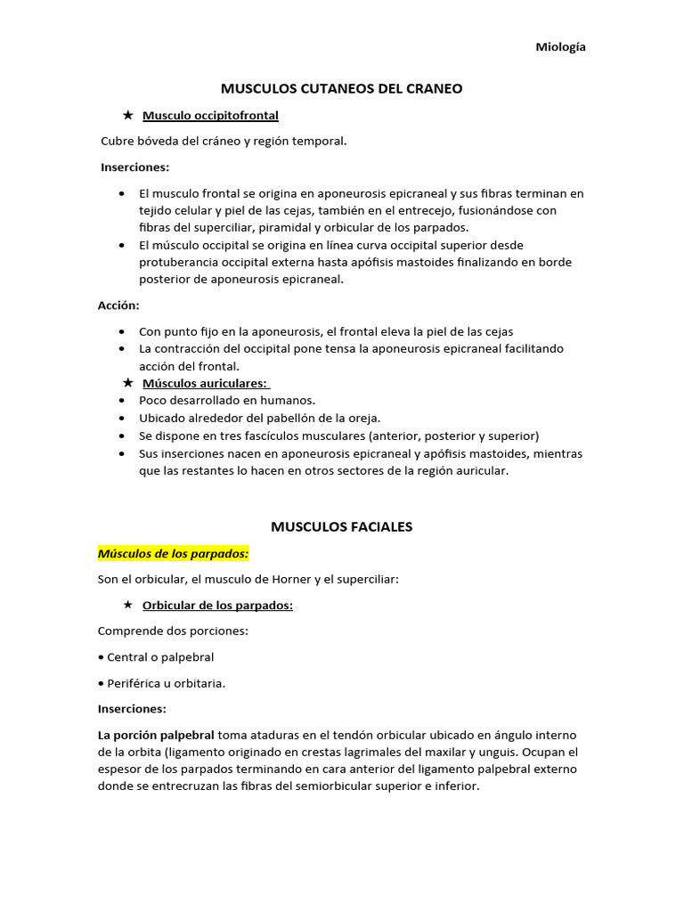 Musculos Cutaneos Del Craneo 1 | PDF | Anatomía humana | Cabeza y ...