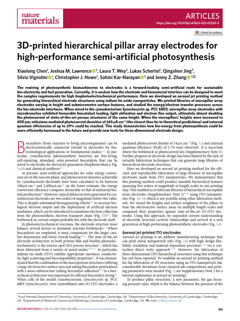 3d-Printed Hierarchical Pillar Array Electrodes For | PDF