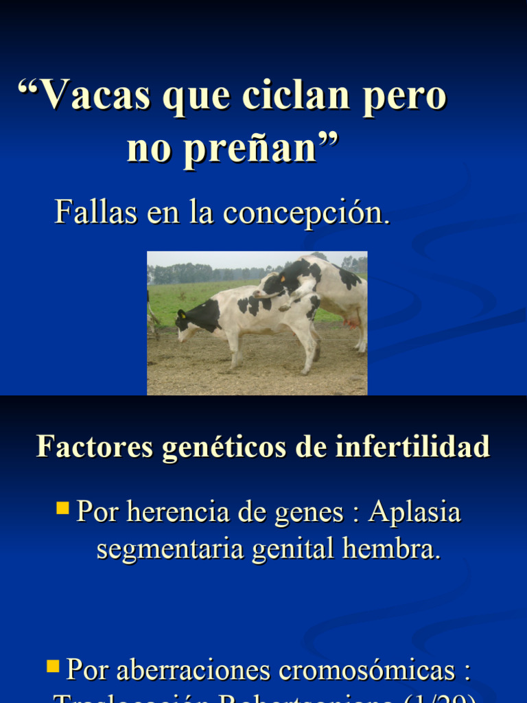 Infertilidad en Vacas: Causas y Factores | PDF | Hormona luteinizante ...