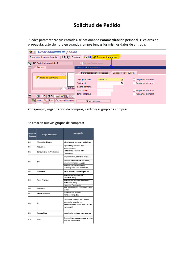Instructivo Solped Zinsa | PDF