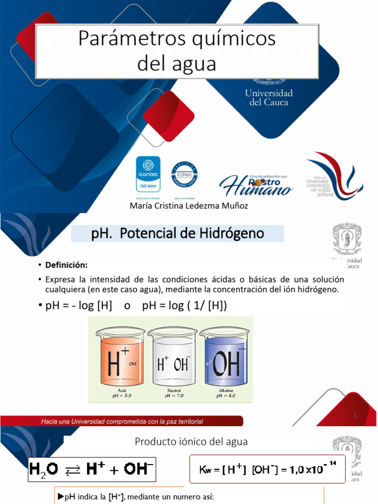 Diapositivas parametros químicos del agua | PDF