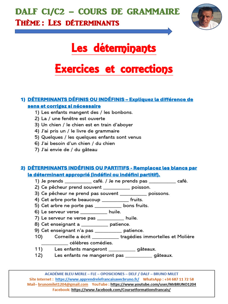 01 - Les Déterminants - Exercices | PDF