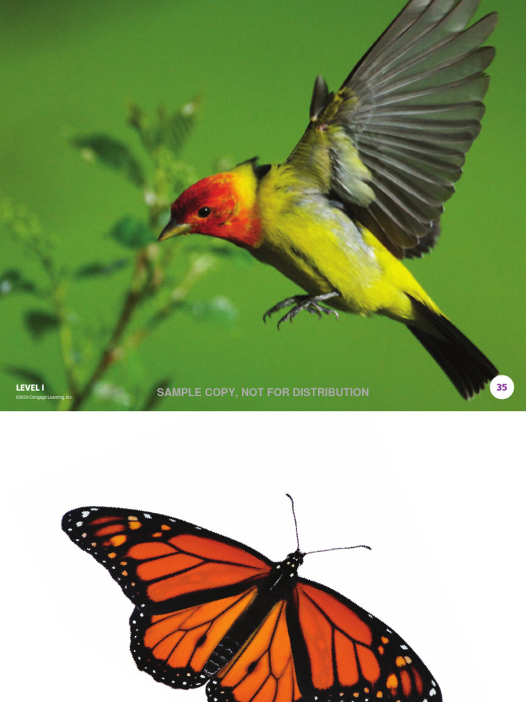 flashcard unit 2 ourworld | PDF