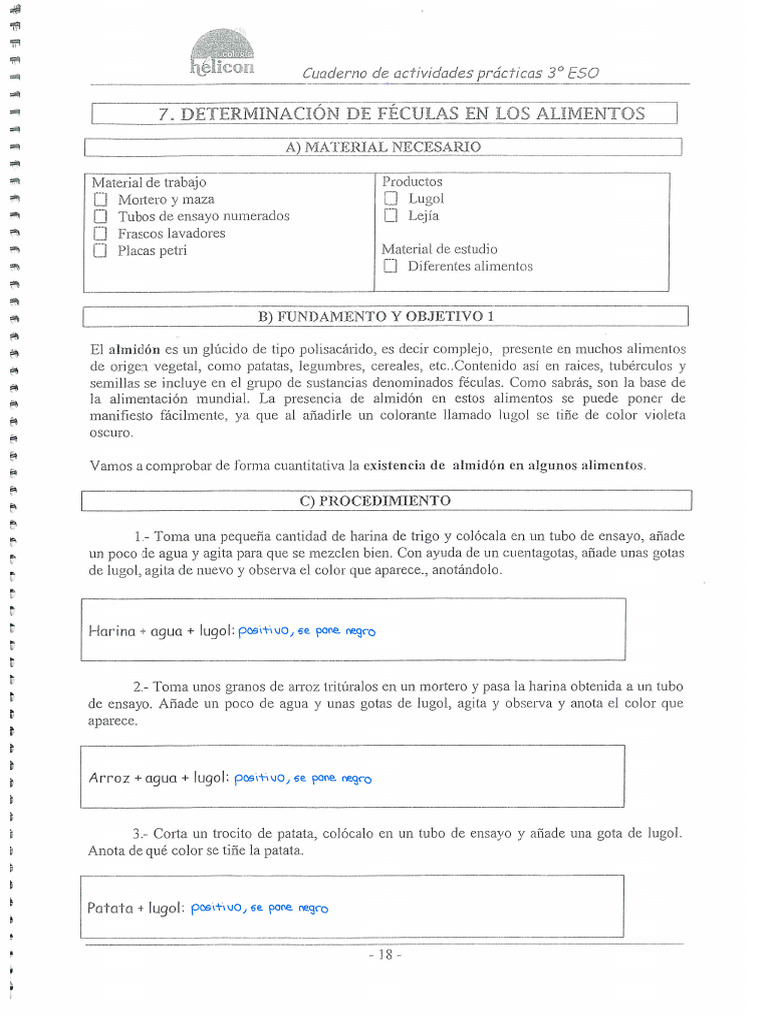 Práctica Detección Almidón en Distintos Alimentos Con Lugol | PDF