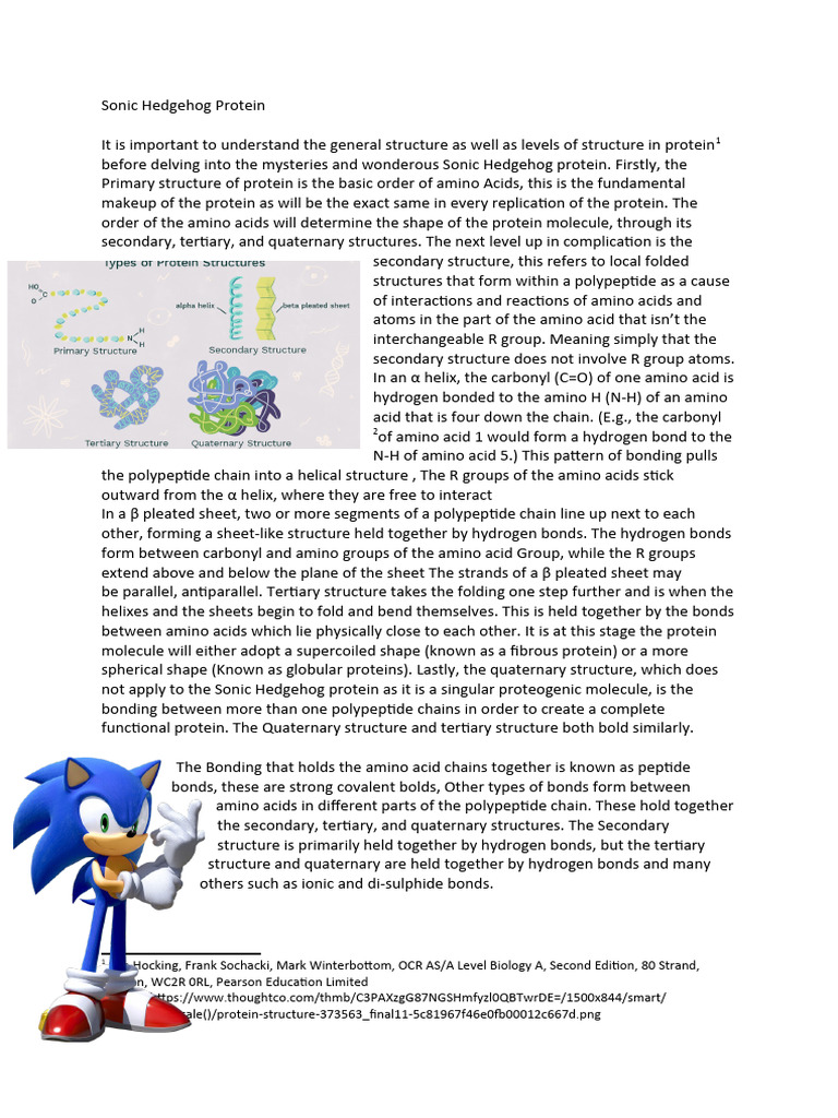 Sonic Hedgehog Protein | PDF