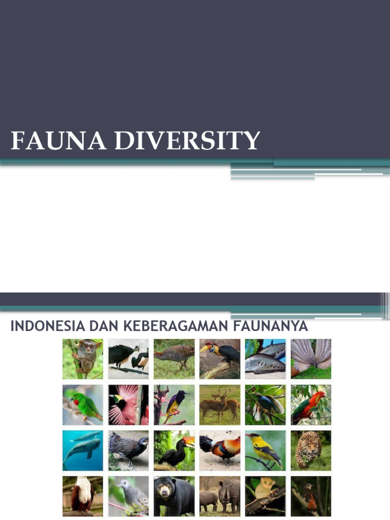 Keberagaman Fauna Indonesia dan Garis Wallace | PDF