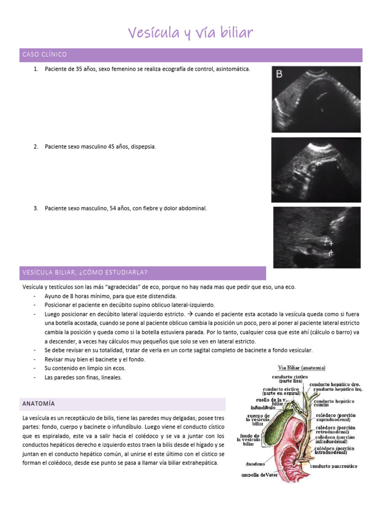 Estudio Ecográfico de la Vesícula Biliar | PDF | Vesícula biliar | Bilis
