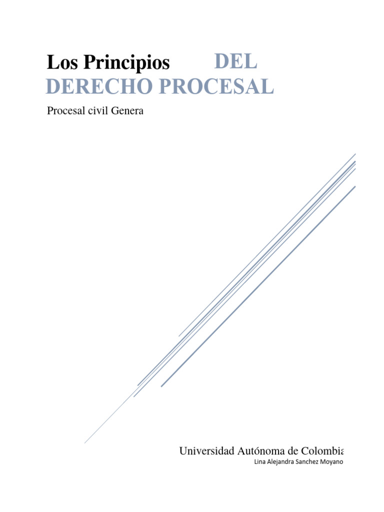 Principios del Derecho Procesal | PDF