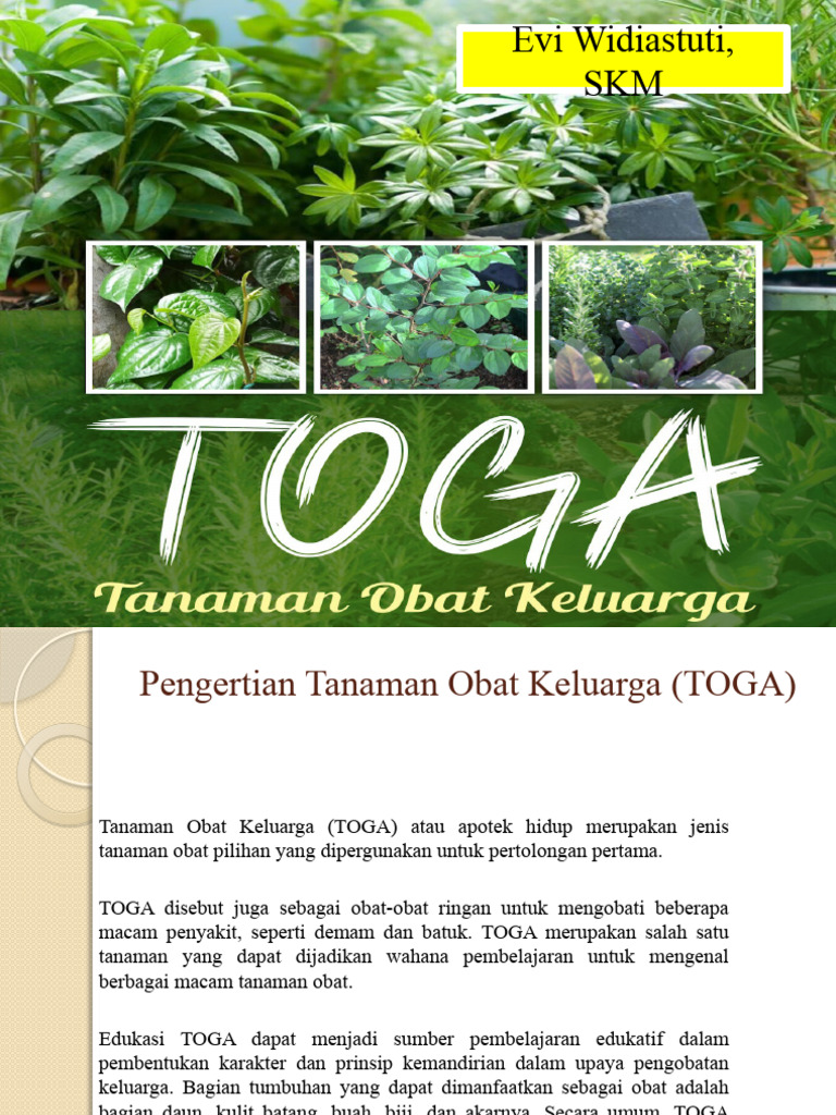 Toga SMA | PDF