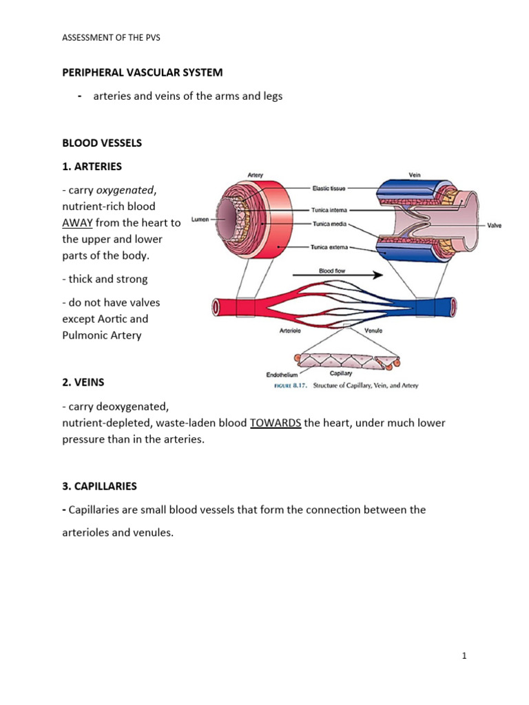 1 Peripheral Vascular System | PDF