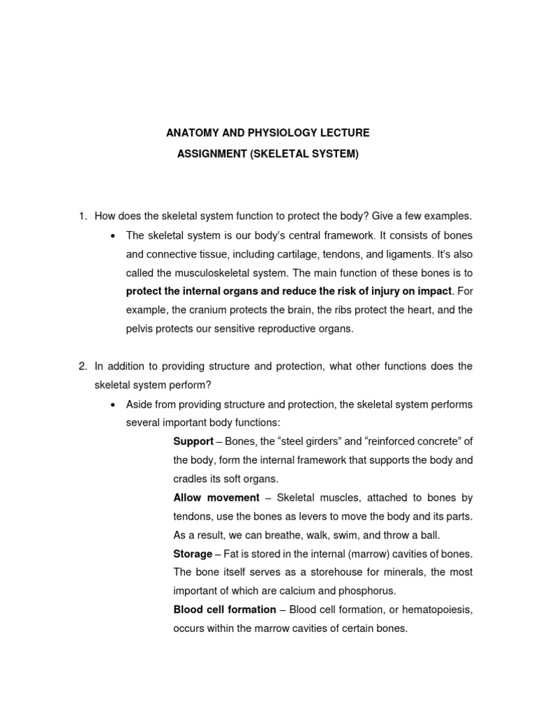Anatomy and Physiology Lecture Assignment (Skeletal System) | PDF | Bone | Skeleton