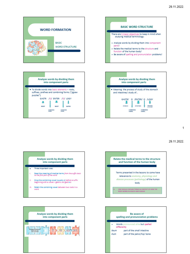 2022-2023 WF - Basic Word Structure - Intro To Suffixes and Prefixes ...