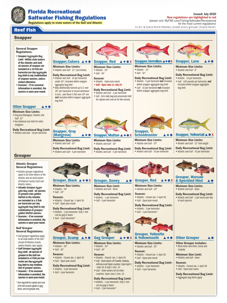 FWC Saltwater Fishing Regulations - July 2020 - QUICK GUIDE | PDF