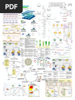 Dynamic Planet Oceanography Overview | PDF | Oceans | Seabed