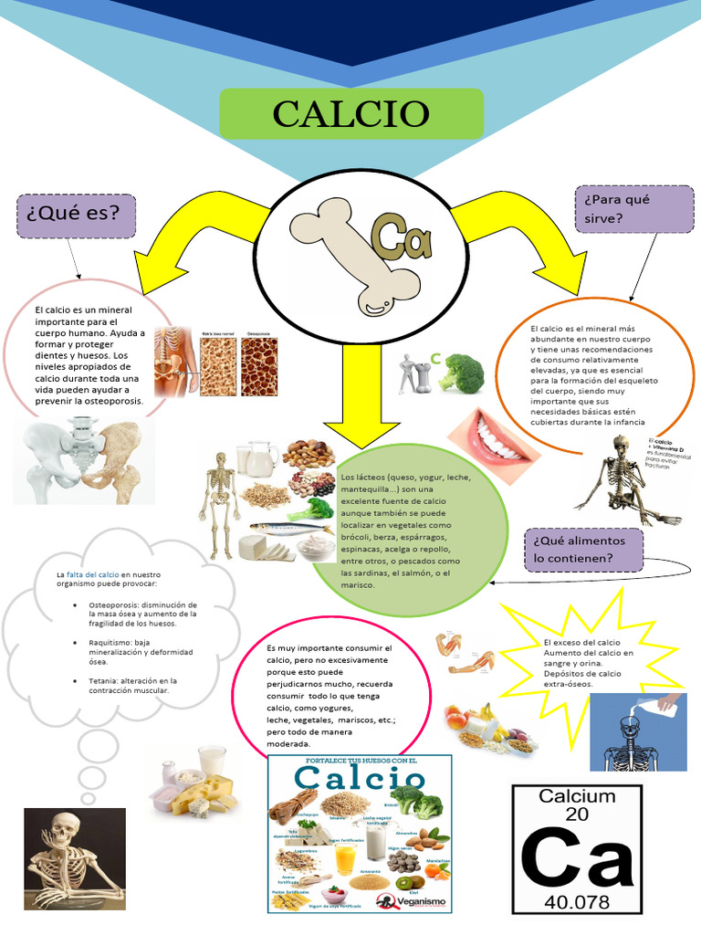 Doc3 | PDF | Calcio | Hueso