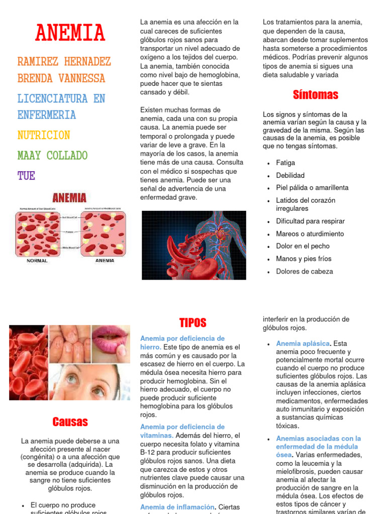 ANEMIA | PDF | Anemia | Glóbulo rojo