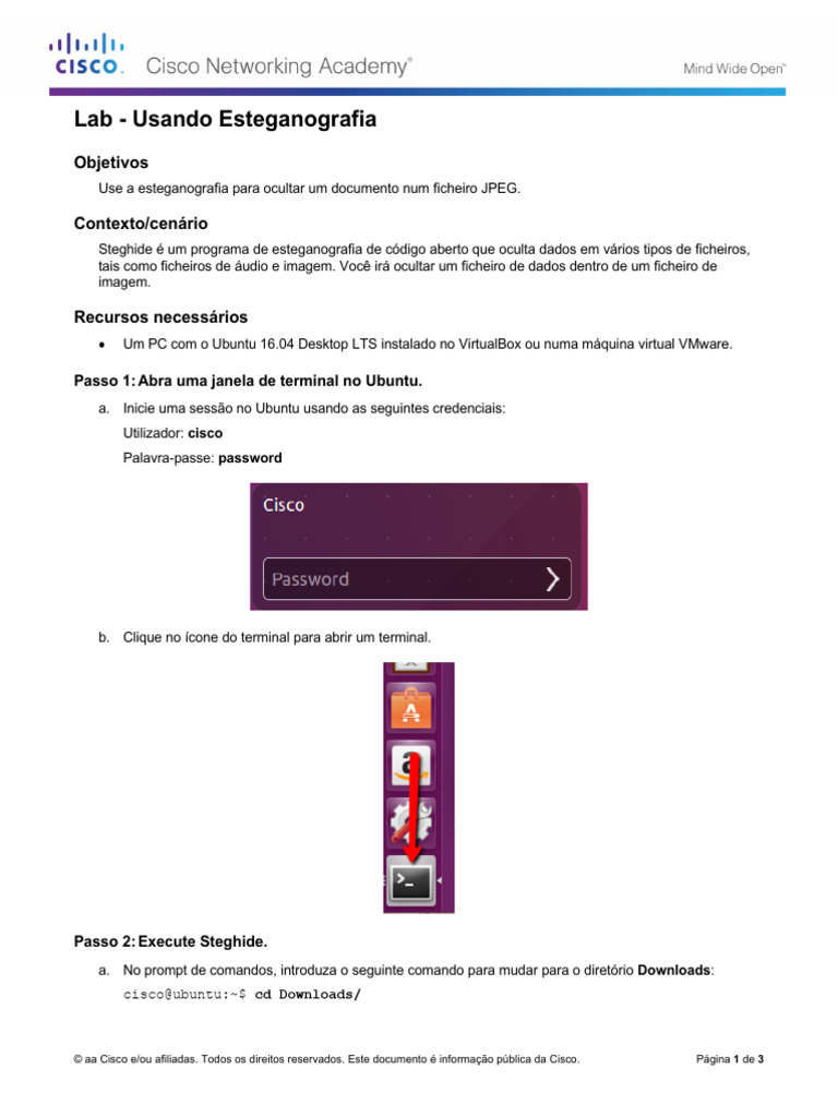 4.3.2.3 Lab - Using Steganography | PDF | Free Software | Linux