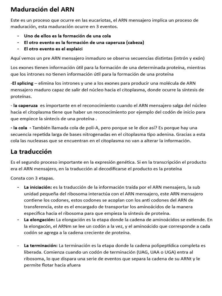 Maduración Del ARN | PDF