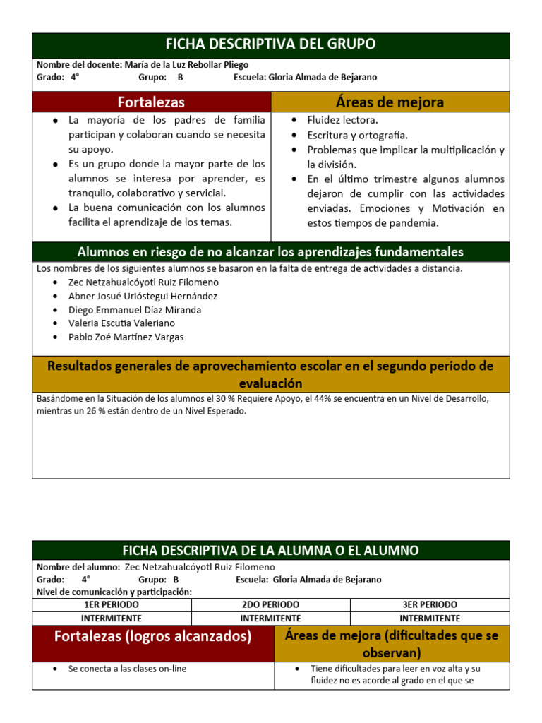 Ficha Descriptiva Del Grupo | PDF