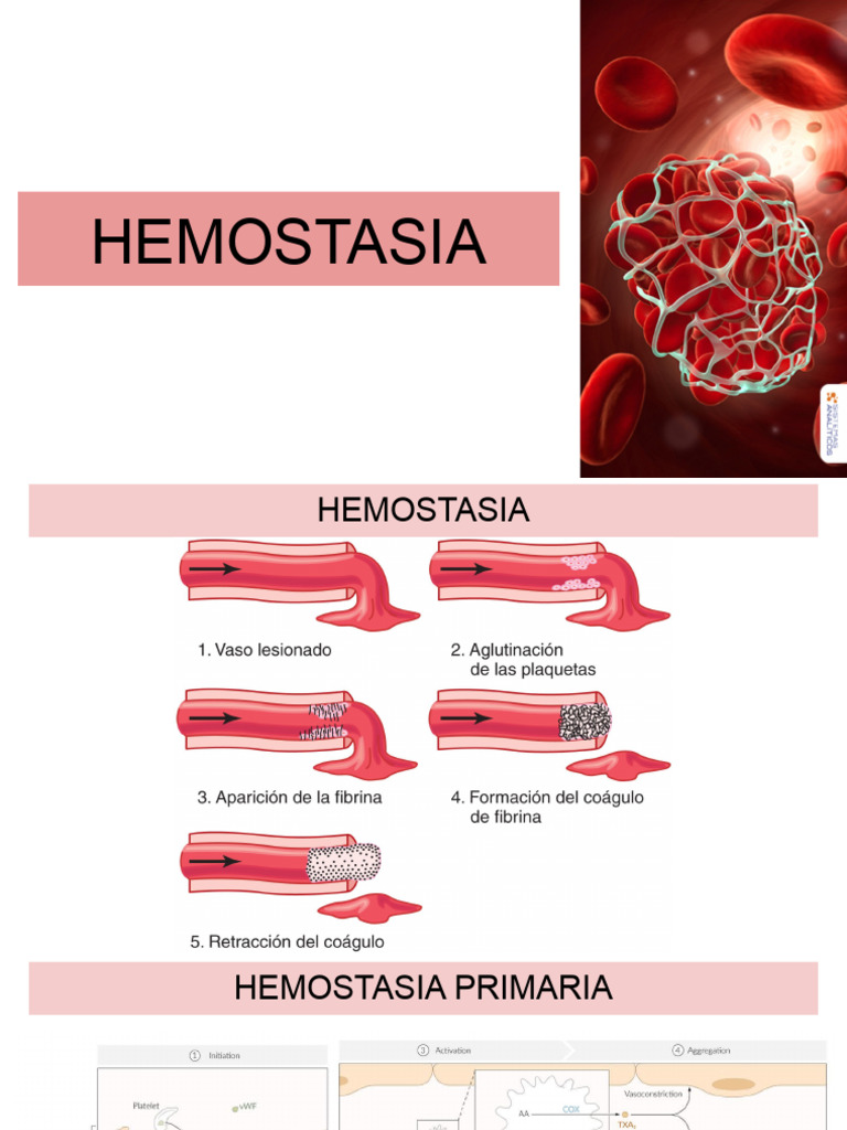 HEMOSTASIA | PDF