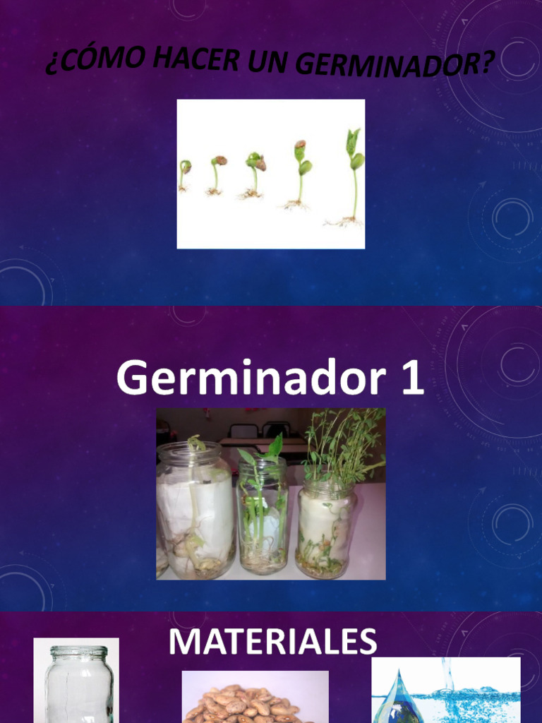 Cómo Hacer Un Germinador | PDF