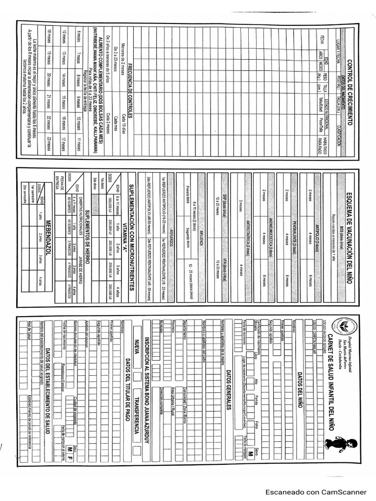 Carnet Infantil Del Niño (1) | PDF