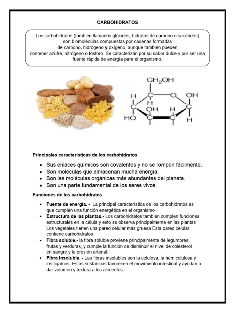 CARBOHIDRATOS | PDF | Carbohidratos | Polisacárido