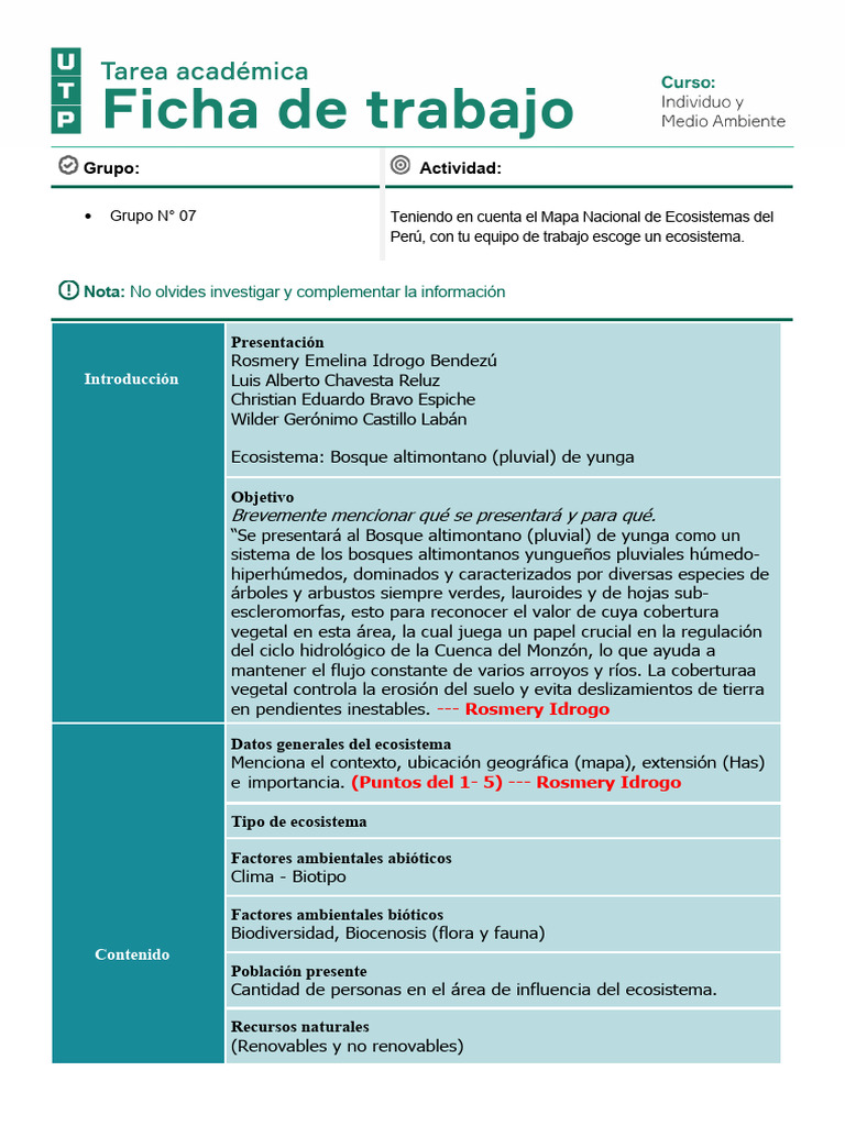 Ecosistema Bosque Altimontano (Pluvial) de Yunga - Grupo 07 | PDF