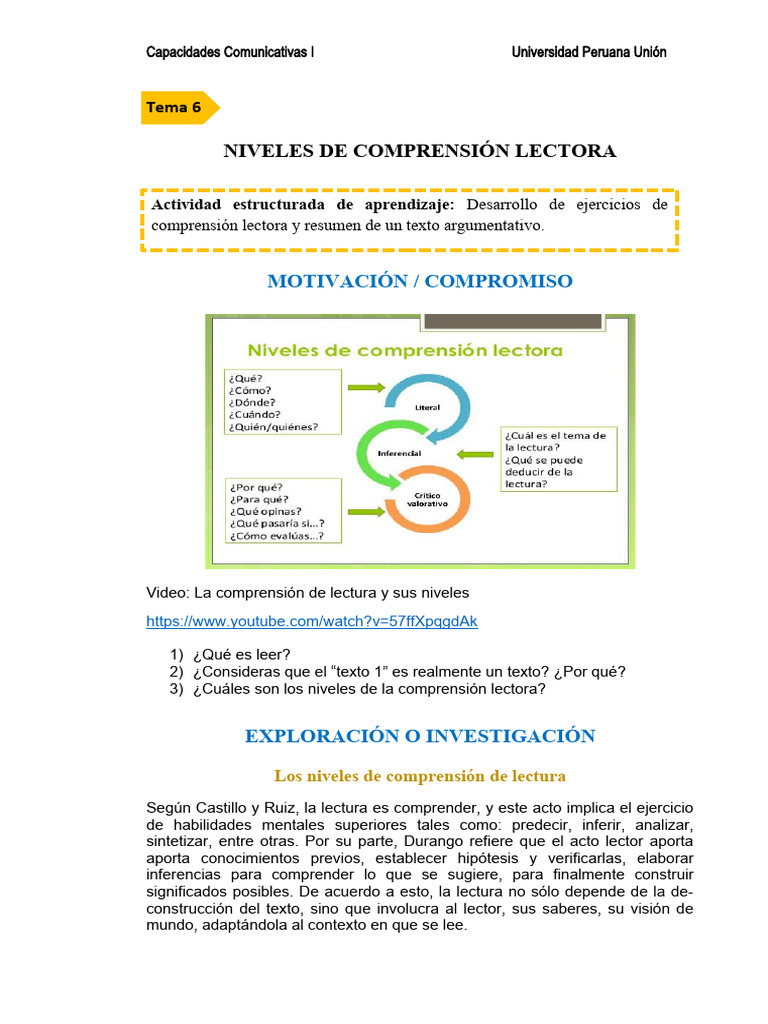 Tema 6 - Niveles de Comprensión y Rúbrica para Resumen | PDF ...