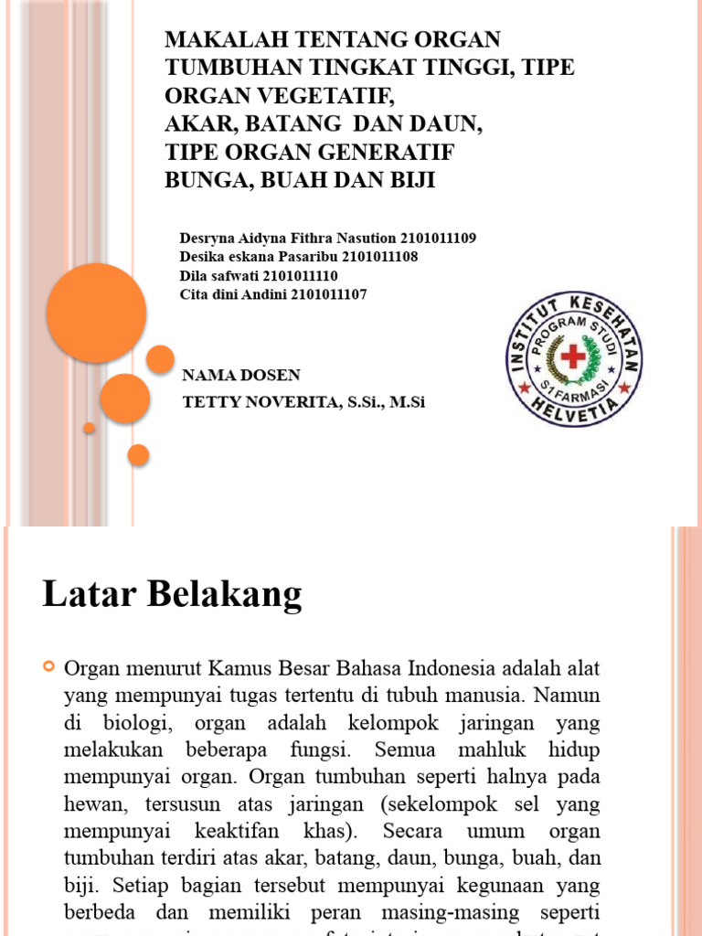 Makalah Tentang Organ Tumbuhan Tingkat Tinggi, Tipe Organ Vegetatif ...