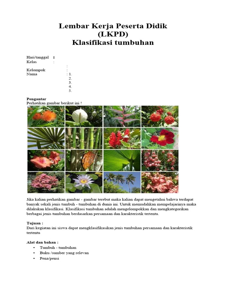 Klasifikasi Tumbuhan untuk Kelas 7 | PDF