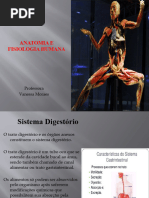 Quimo e Quilo | PDF | Digestão | Estômago