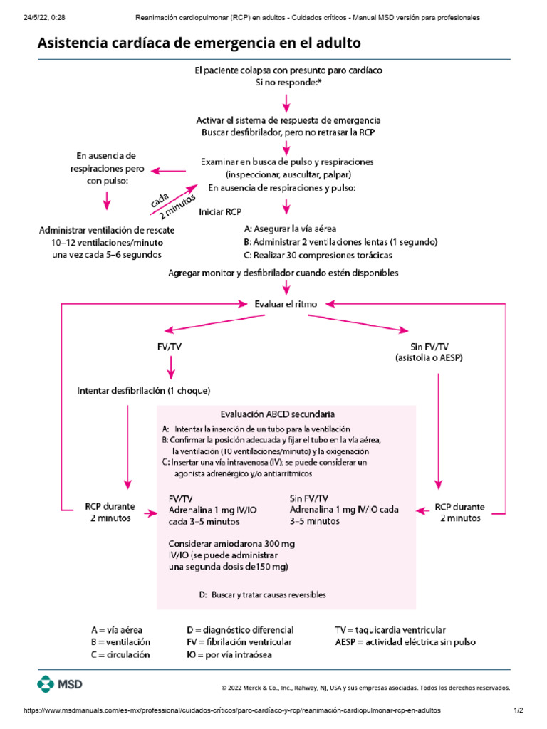 Reanimación Cardiopulmonar (RCP) en Adultos - Cuidados Críticos ...
