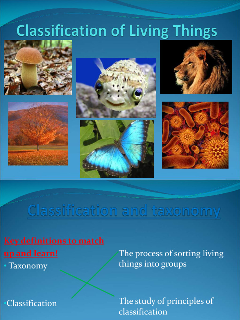 The Classification of Living Things | PDF | Taxonomy (Biology) | Archaea