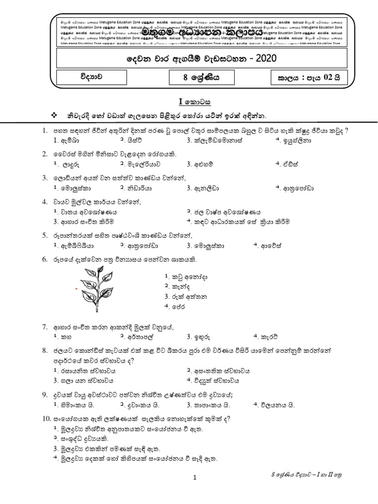 Grade 8 Science Paper | PDF