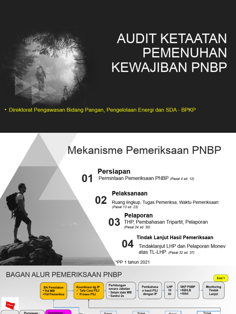 Audit PNBP | PDF