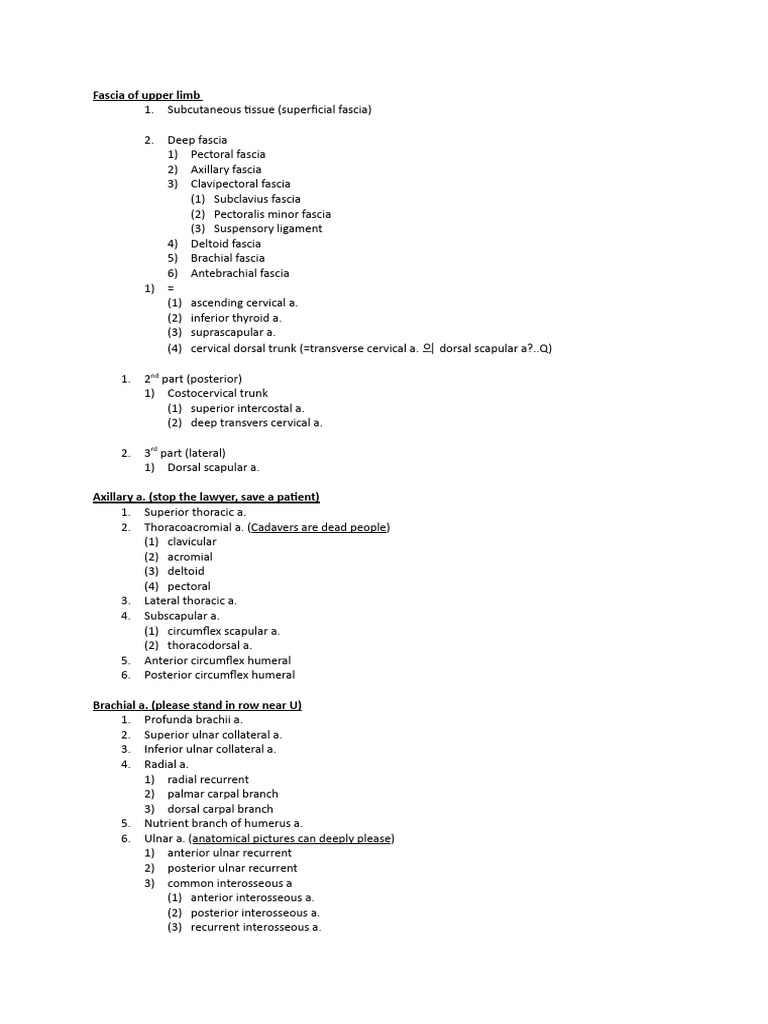 Fascia of Upper Limb | PDF
