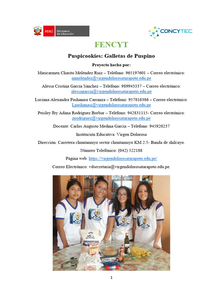Fencyt 2023 | PDF