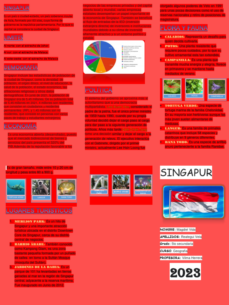 Triptico de Magdiel (Singapur) | PDF