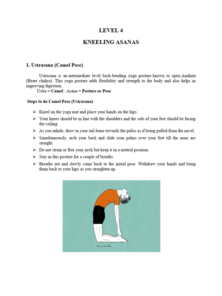 Level 4 Yoga Material | PDF | Asana | Pelvis