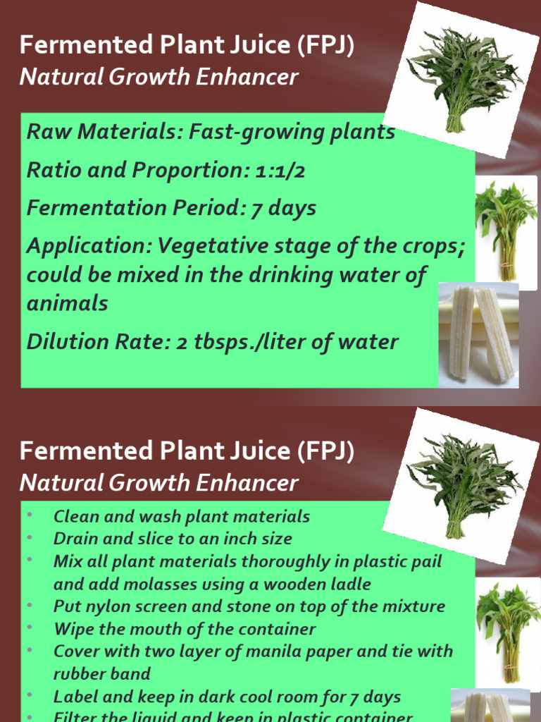 Organic Concoctions | PDF