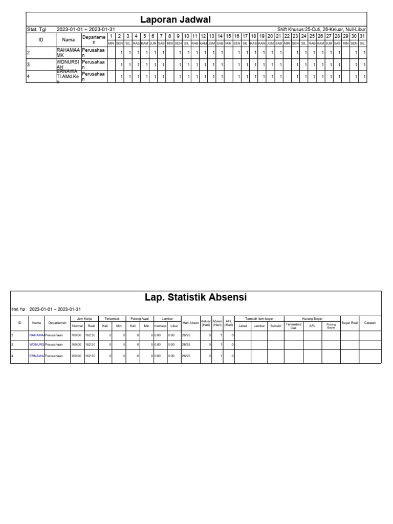 1 StandardReport | PDF