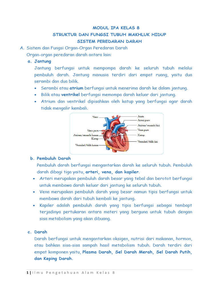 Sistem Peredaran Darah | PDF
