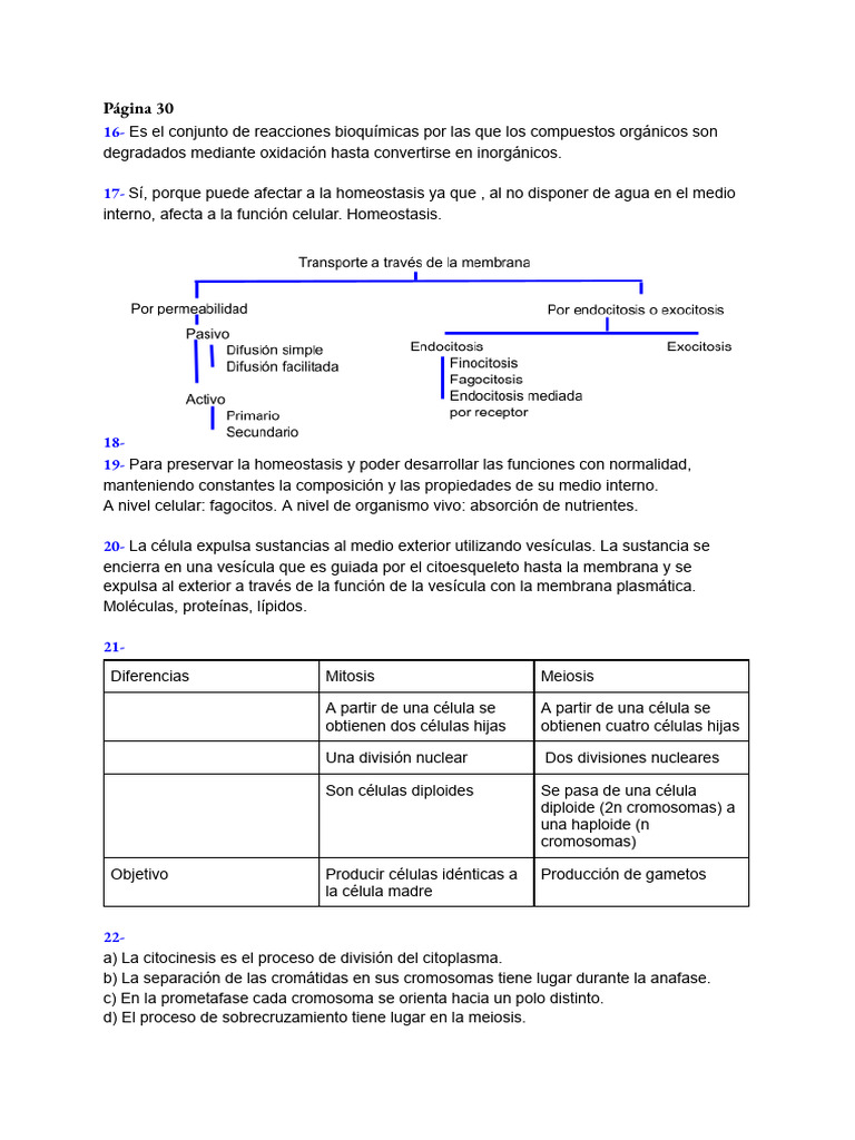 Actividades TLG | PDF