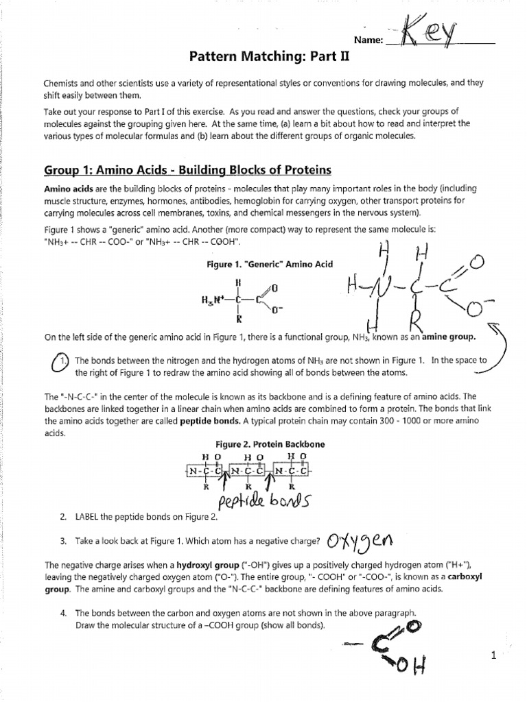 Biochemistrypatternmatchingkey 1 | PDF