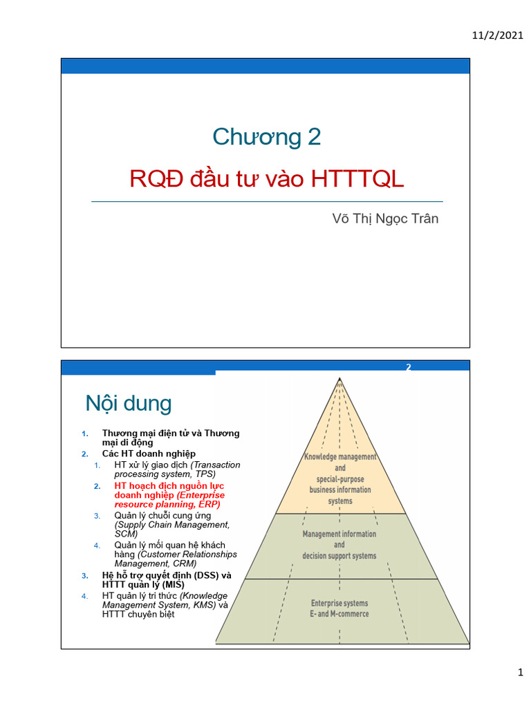 RQĐ đầu tư vào HTTTQL: Chương 2 | PDF