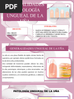 Guía sobre Cromoniquia y Alteraciones Ungueales | PDF | Clavo (anatomía ...